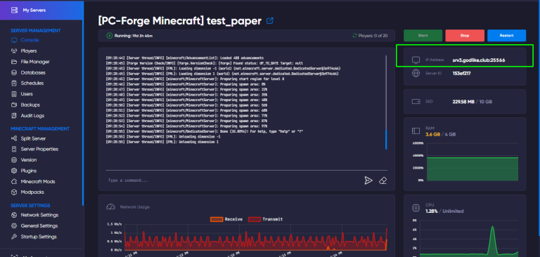 How to use own Domain or Godlike's subdomain on the Minecraft server - Godlike